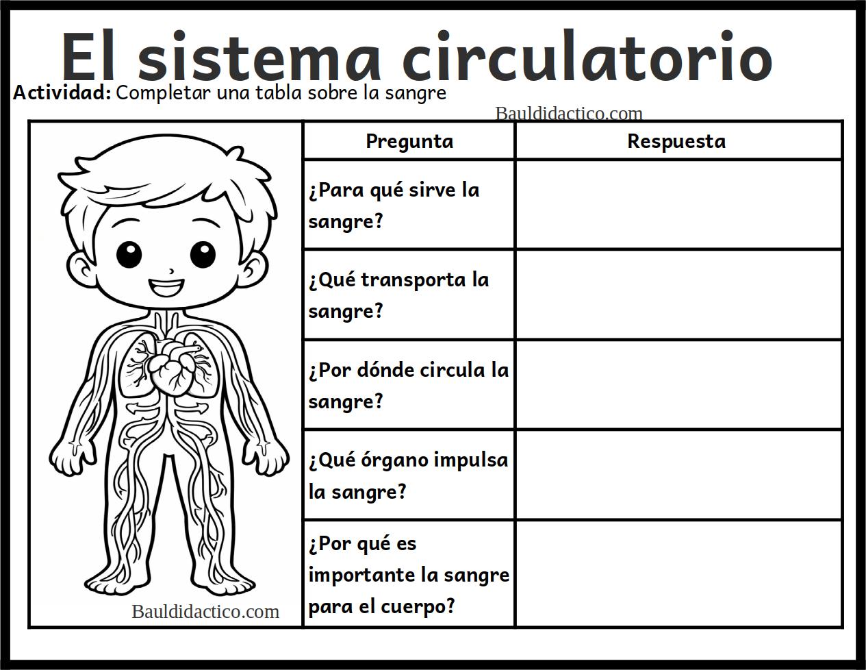 PROYECTOS DE AULA ¡Una bomba en mi cuerpo!
